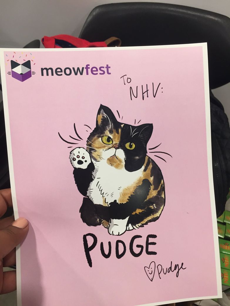 photograph-form-pudge-the-cat - NHV Natural Pet Products Blog