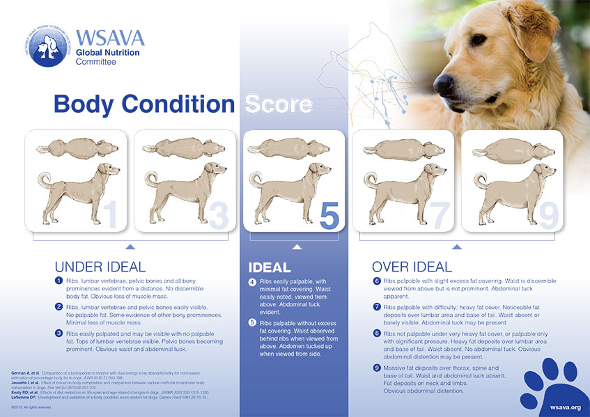 bcs_chart_dog - NHV Natural Pet Products Blog