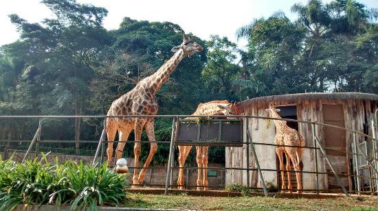 Feeding a zoo - behind the scenes at a zoo's kitchen