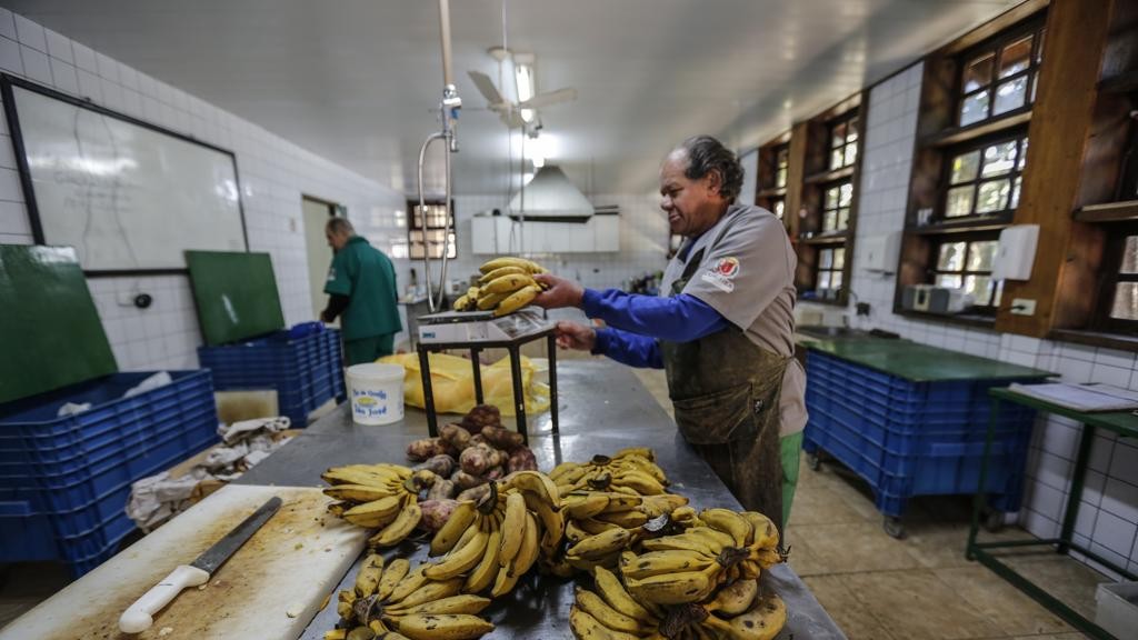 Feeding a zoo - behind the scenes at a zoo's kitchen