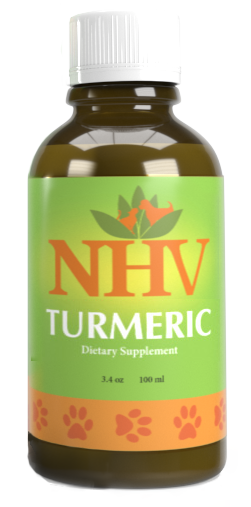 Turmeric - NHV Natural Pet Products Blog