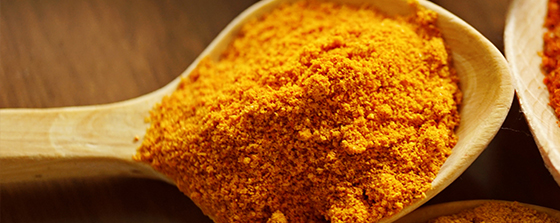 timmy-turmeric-banner - NHV Natural Pet Products Blog