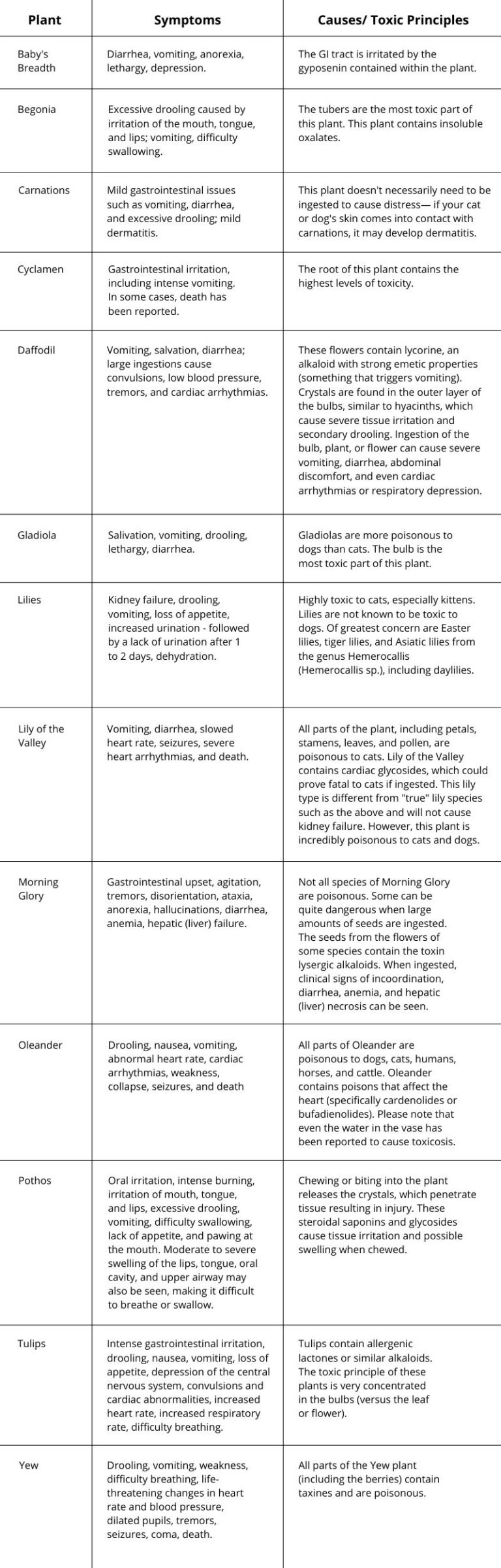 NHV Blog - Poisonous Plants to Pets & Tips on Pet Allergies