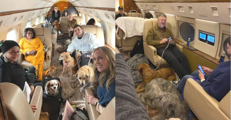 Moving Abroad: How to Fly With a Large Dog Internationally?