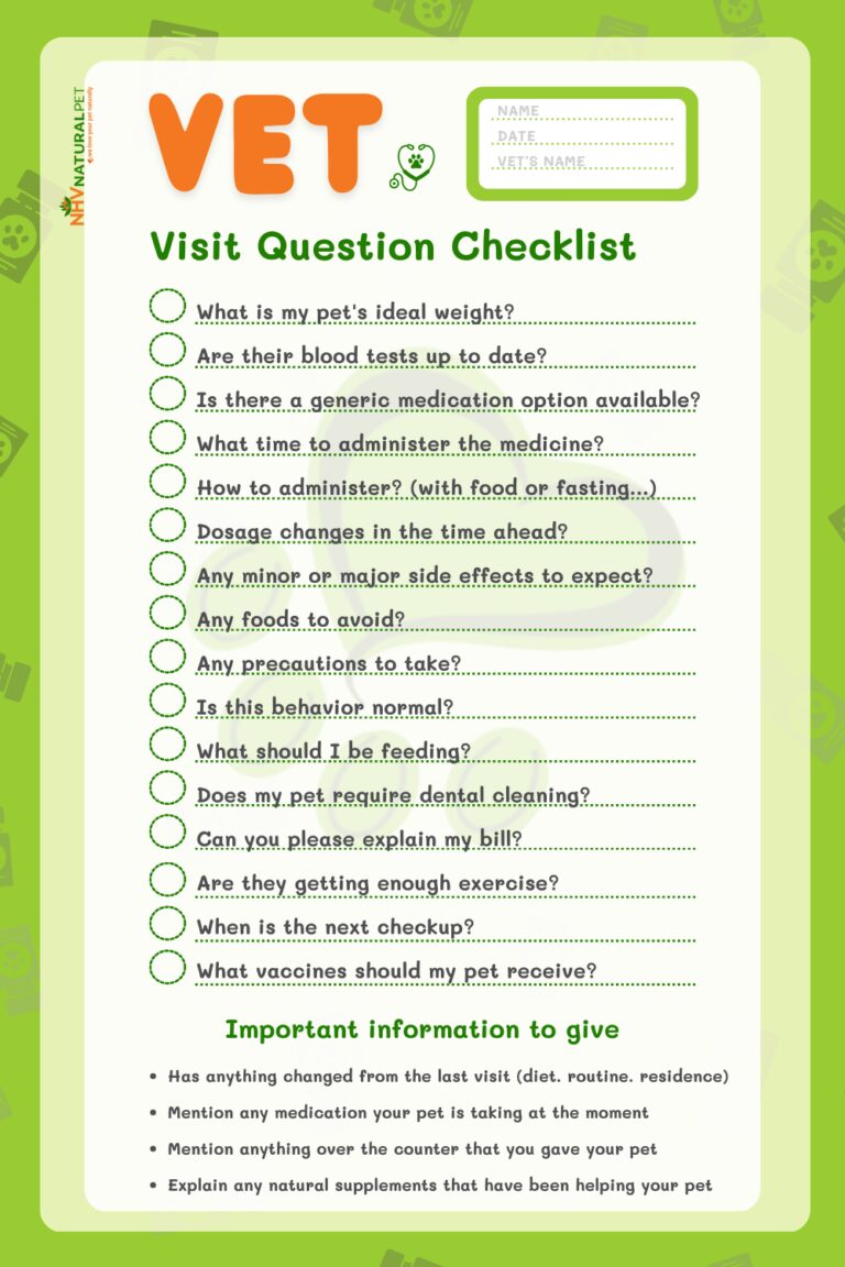 Vet Talks: How to make your pet's vet visit successful