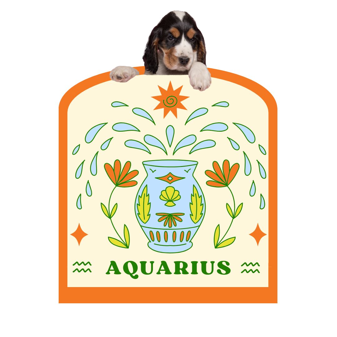 BLOG IMAGES - SQUARE - 2025-02-27T102832.014 - NHV Natural Pet Products ...