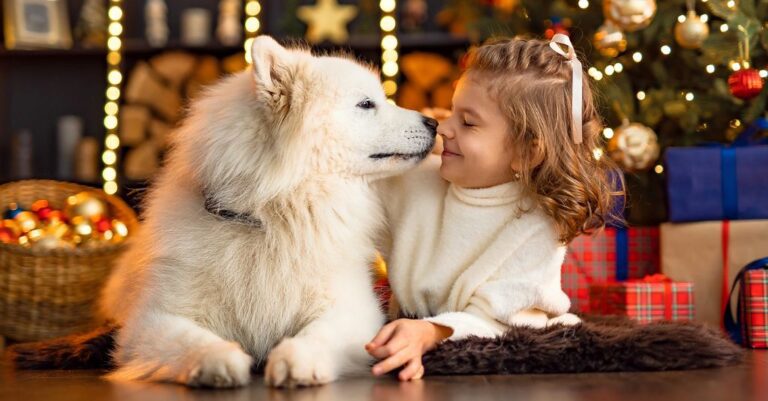 BLOG IMAGES 5 (7) - NHV Natural Pet Products Blog