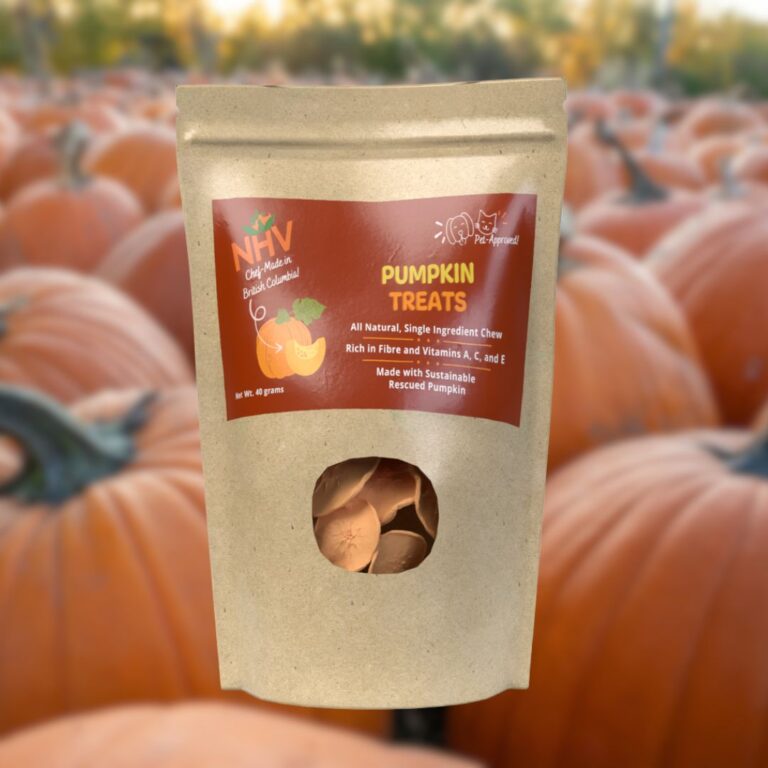 BLOG IMAGES - SQUARE (15) - NHV Natural Pet Products Blog